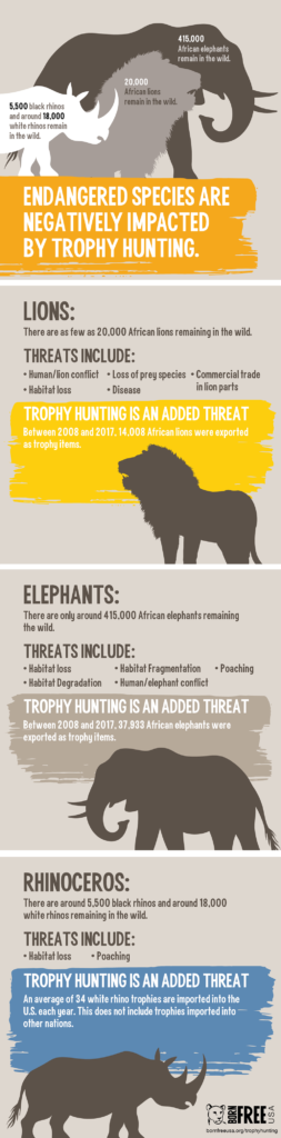GRAPHIC: Endangered Species Are Negatively Impacted by Trophy Hunting ...