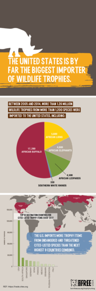 GRAPHIC: The United States Plays a Major Role in Trophy Hunting | Born ...