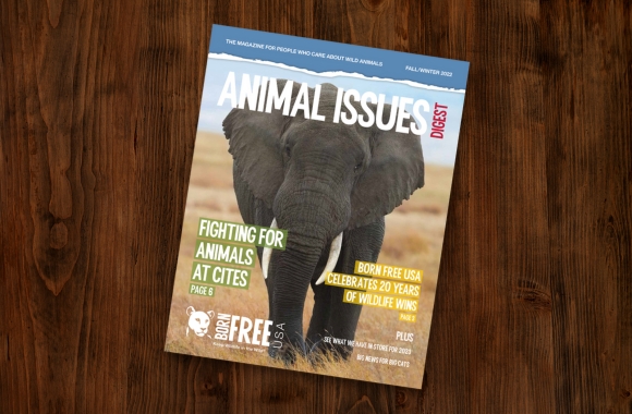 Animal Issues Digest: Fall/Winter 2022 | Born Free USA