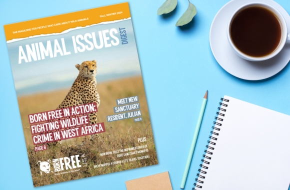 Animal Issues Digest: Fall/Winter 2024 | Born Free USA