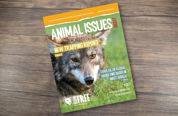 Animal Issues Digest: Spring/Summer 2021 | Born Free USA