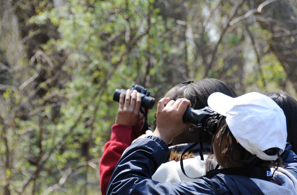 Five Great Ideas for Teaching Kids about Wildlife ... and Compassion ...