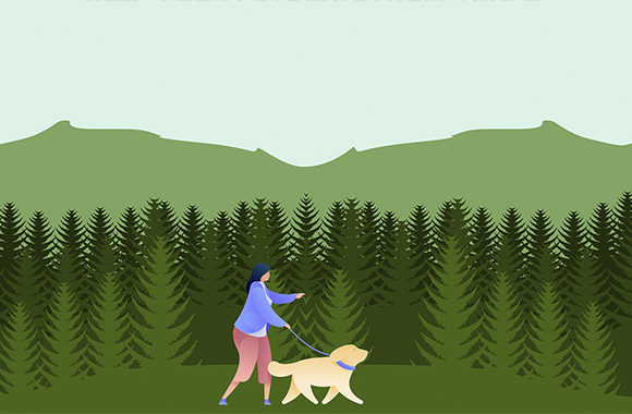 Keep Your Pets Safe from Traps! | Born Free USA