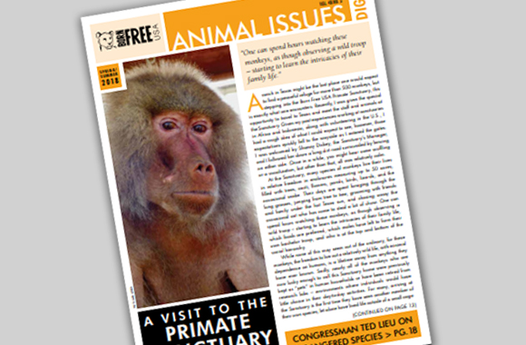 Animal Issues Digest: In Honor of Endangered Species Day | Born Free USA