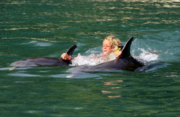 "Overtourism" - Don't be Part of the Problem! | Born Free USA