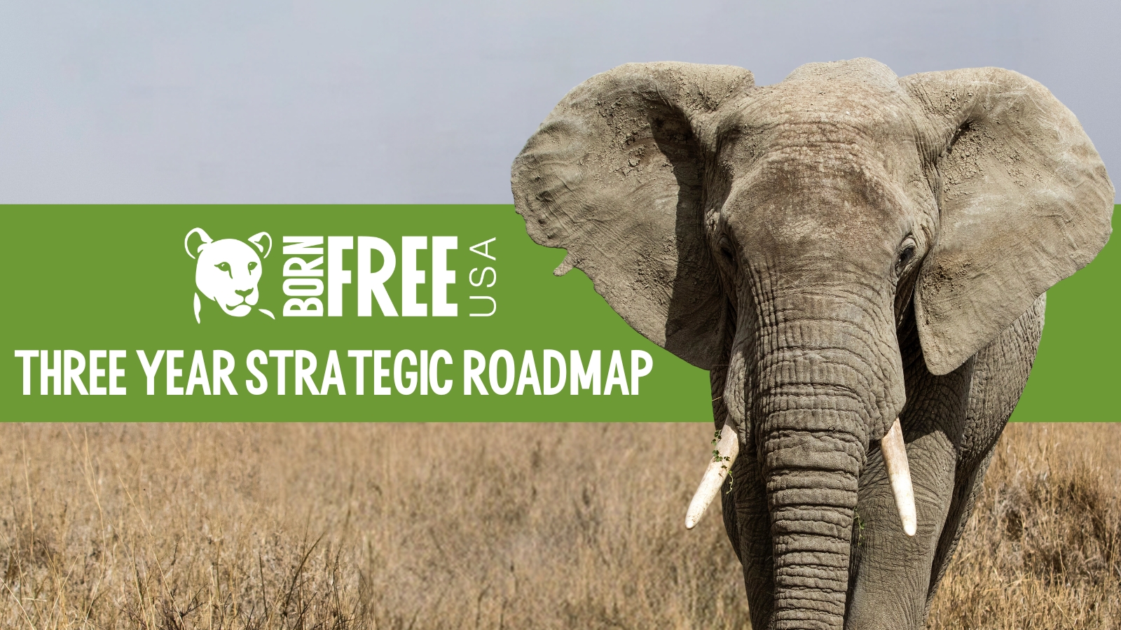 downloadable us roadmap