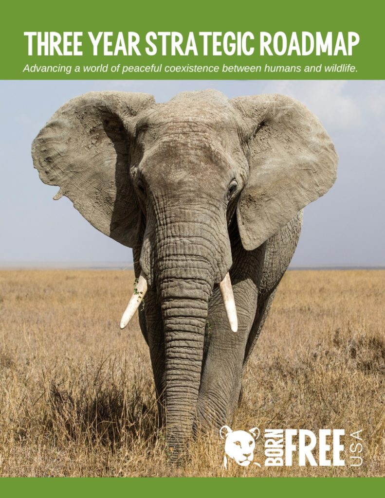 Born Free USA's Three Year Strategic Roadmap | Born Free USA