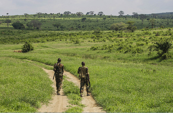 Wildlife Rangers Need Our Help! | Born Free USA